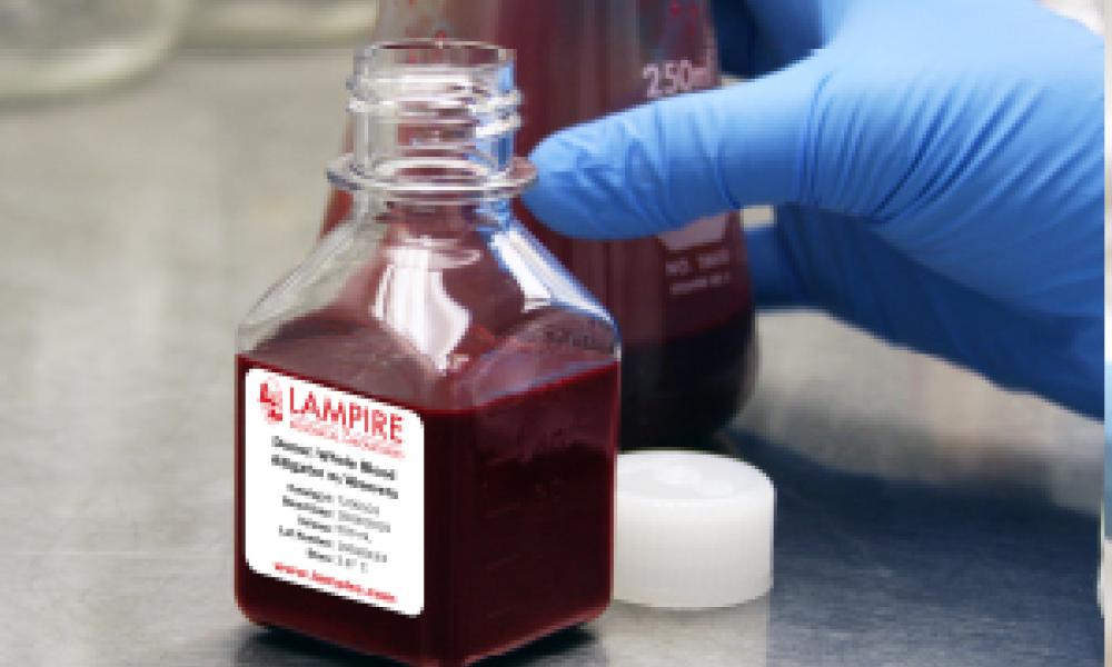 LAMPIRE specializes in custom polyclonal & monoclonal antibody development... | Lampire ...